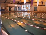 Grizzly Pool | University of Montana