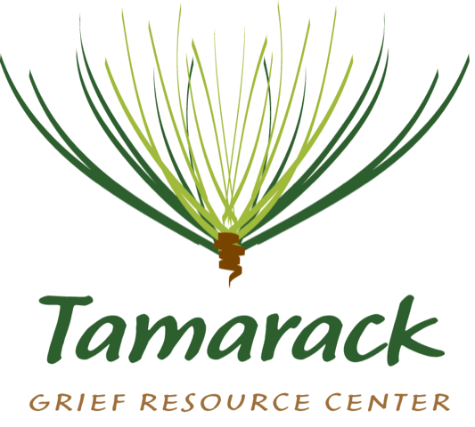 GRIEF MATTERS: Effective Interventions for Medical & Healthcare ...