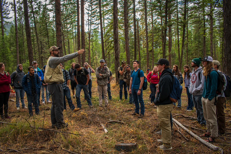 Accreditation Marks 85 years of Forestry Education at UM | University ...